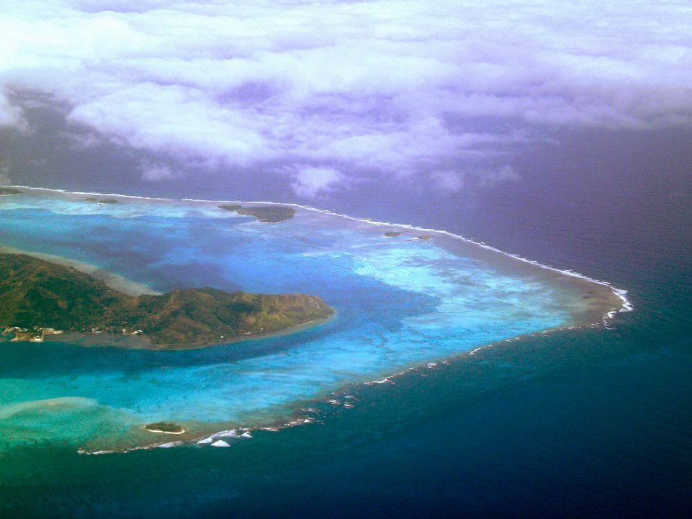 Guide to Buying & Keeping Maxima Clams | Reef2Reef